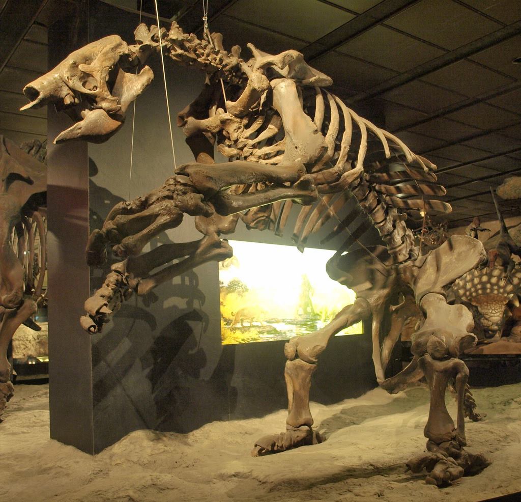 Giant Ground Sloth Died Off Between 10,000 and 15,000 Years Ago